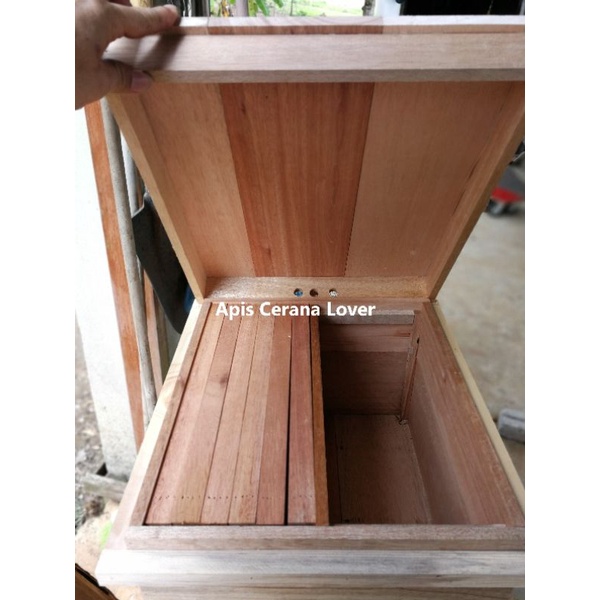 Bee Hive Apis Cerana with 6 frame / Kotak Lebah Kampung dengan 6 frame ...