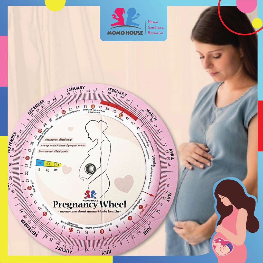 Pregnancy OB Wheel Obstetric Wheel Pregnancy Calculator Wheel Roda ...