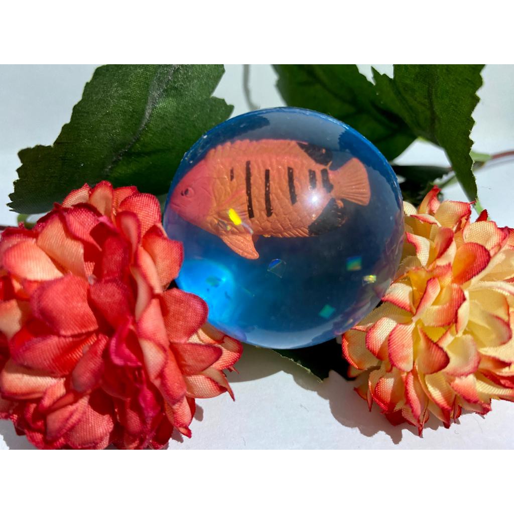 Marine Fish Soft Rubber Bouncy Ball Toy | Shopee Malaysia