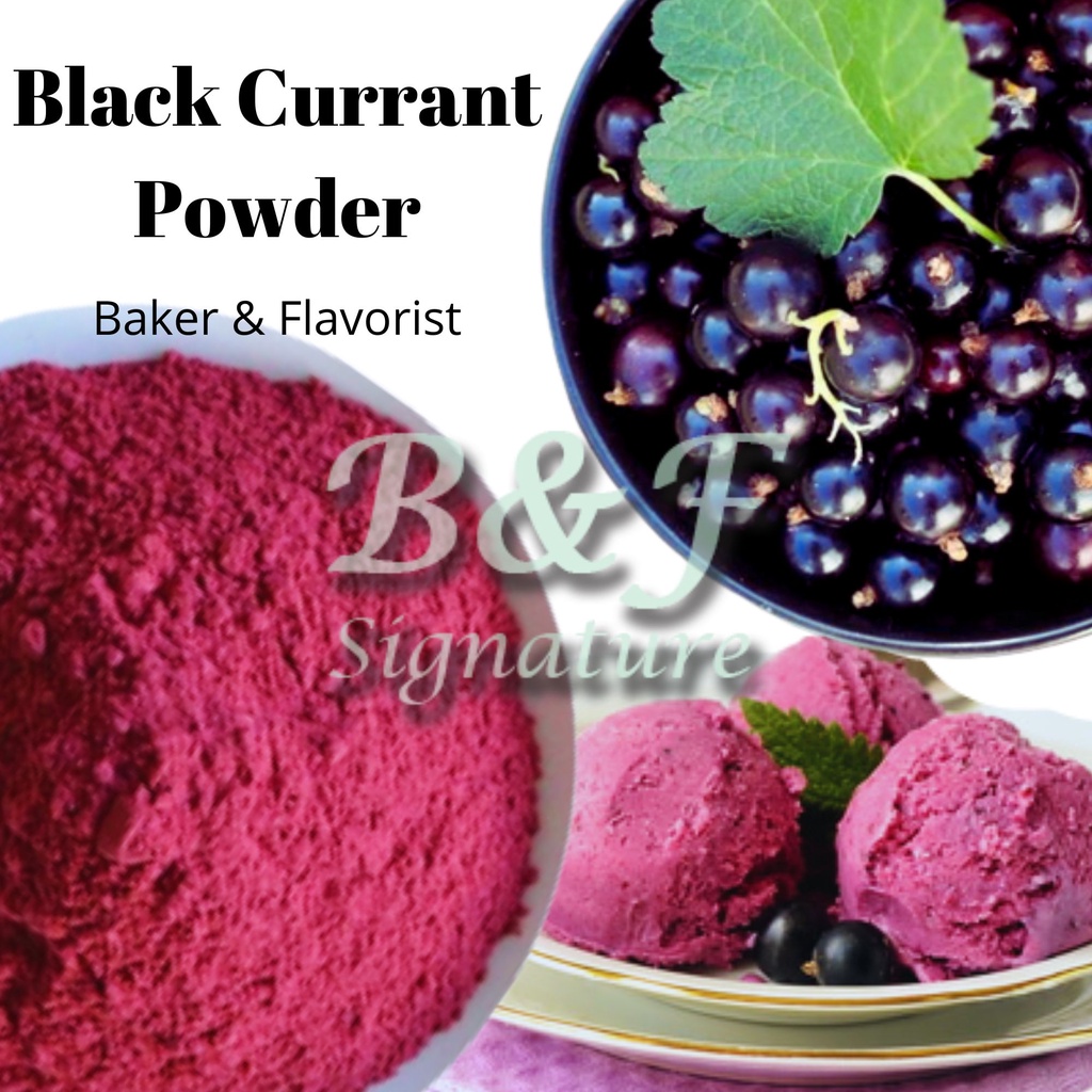 Blackcurrant Fruit Powder 500g HARGA BORONG Ribena 黑加仑果粉 baking ...
