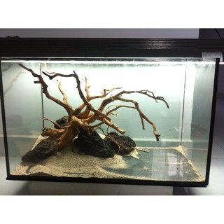 Root Wood Driftwood Spiderwood aquarium aquascape aquascaping deco 杜鹃根 ...
