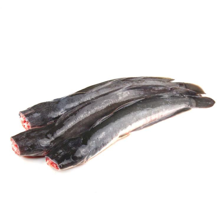 Premium frozen Cleaned Ikan Keli 2Kg± | Shopee Malaysia