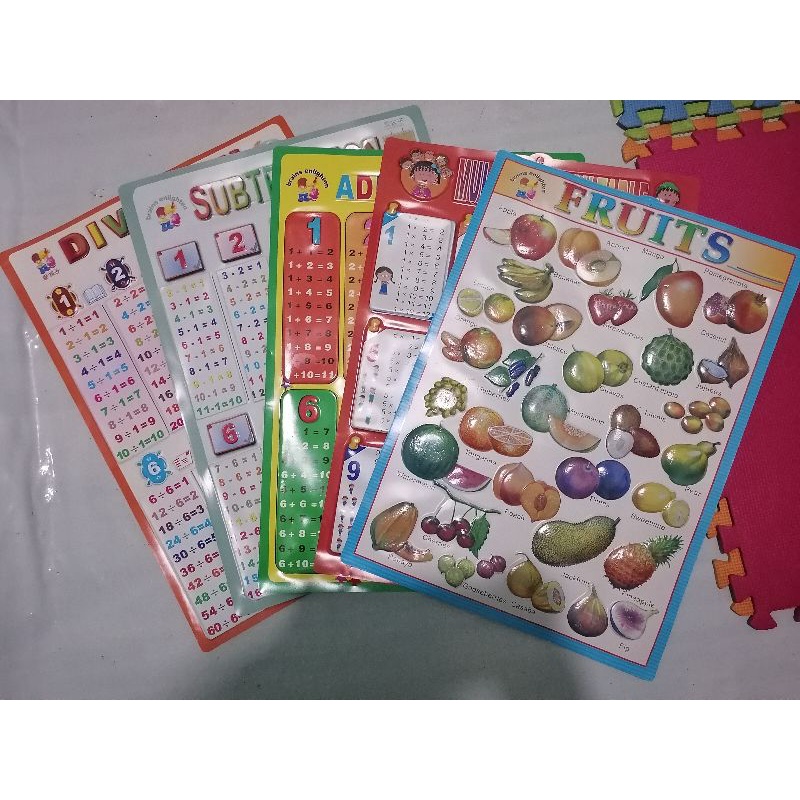 Wall chart educational plastic embossed set of 5 | Shopee Malaysia