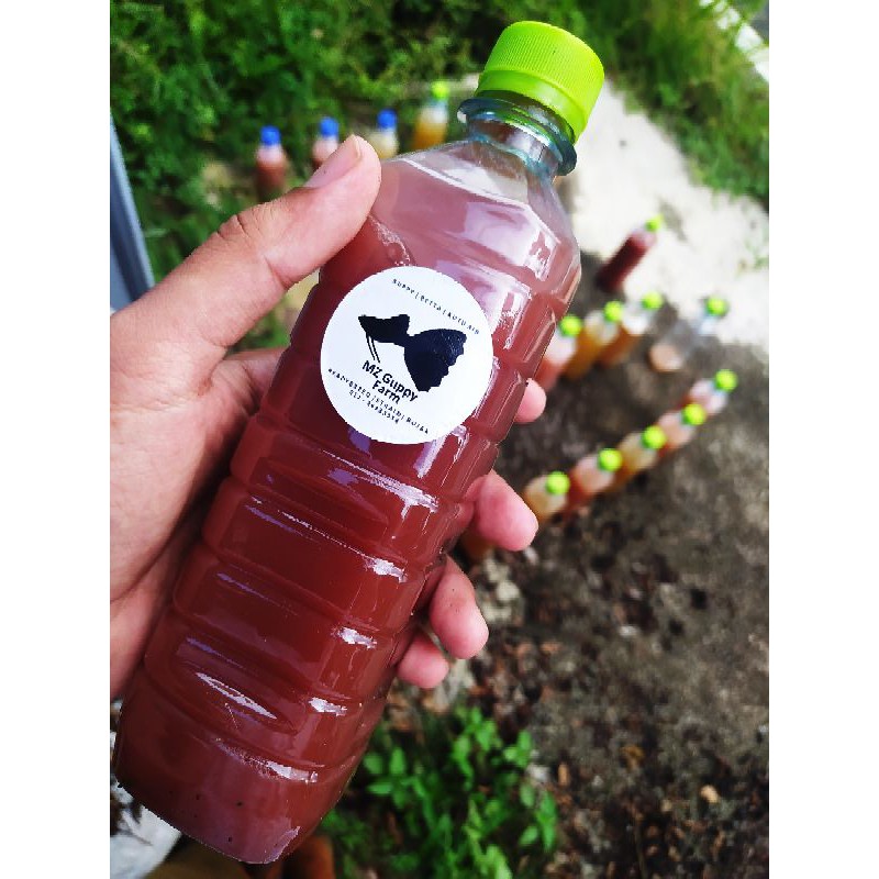 PSB (Photosynthesis Bacteria) 500 ml | Shopee Malaysia