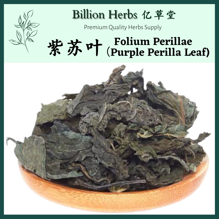 亿草堂 Billion Herbs 紫苏叶 紫苏 苏叶 100g Folium Perillae (Purple Perilla Leaf ...