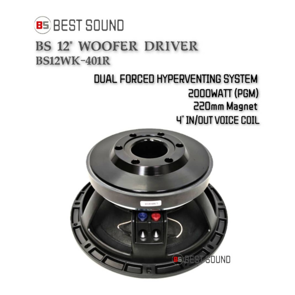 BS 12 Inch BS12WK-401R Woofer Spaeker Drive Precision Transducers ( Per ...