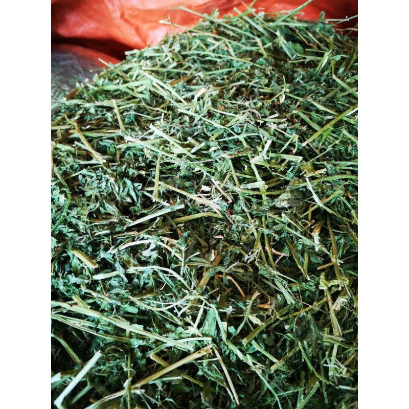 Alfalfa Hay 1kg Rumput Kering Alfalfa 1kg | Shopee Malaysia