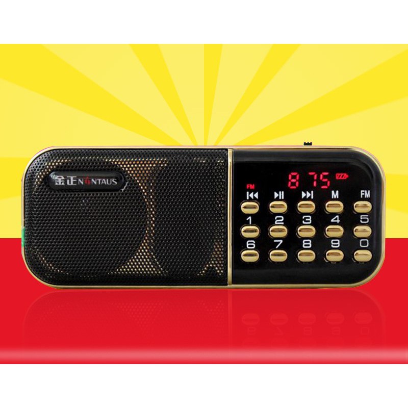 NINTAUS Rechargeable Portable Music Player & FM Radio 金正充电式音乐播放器/收音机 ...