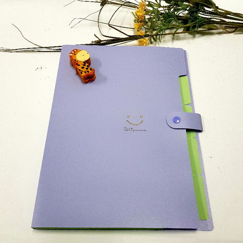 File A4 Plastic Expanding File / Folder Pockets Documents Expanding ...