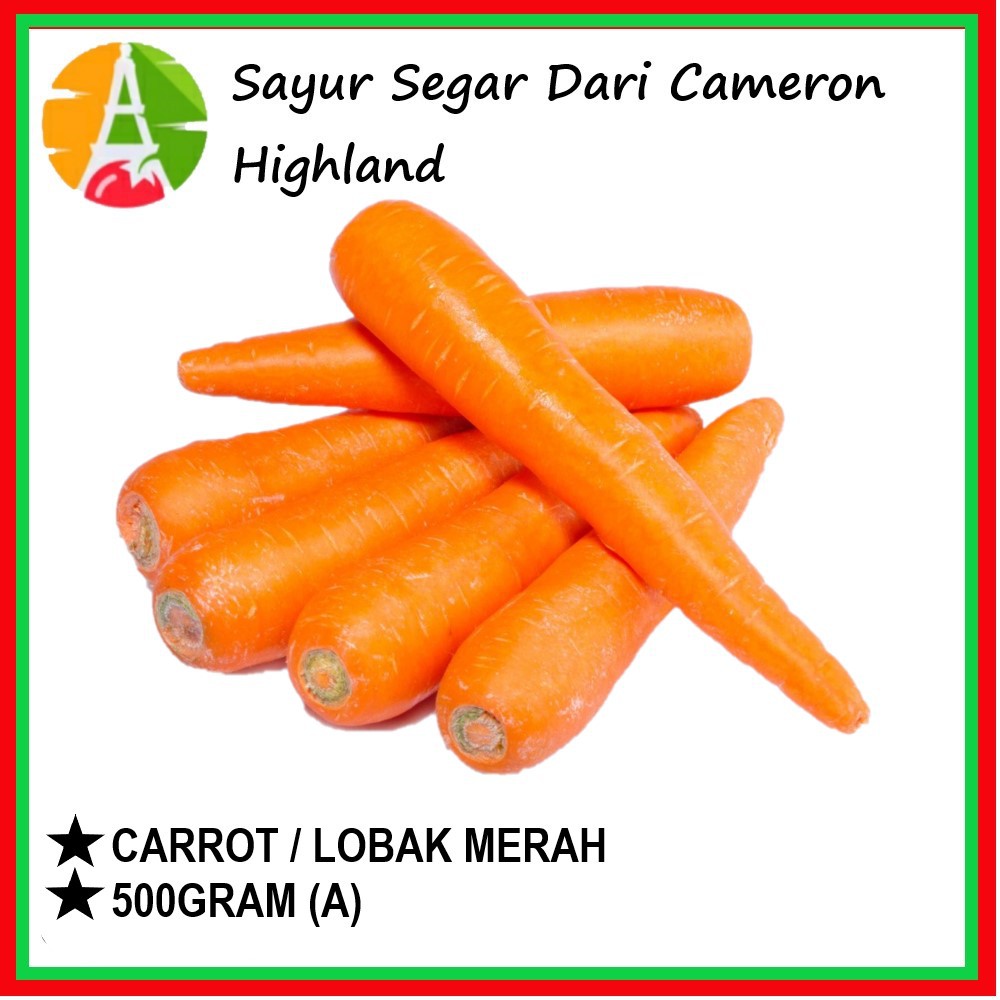 CARROT / LOBAK MERAH - SAYUR SEGAR DARI CAMERON HIGHLAND - FRESH FROM ...