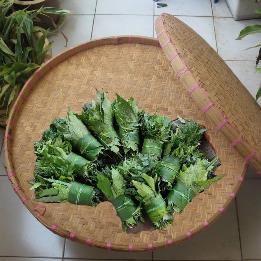 HERBA MANDIAN BERPANTANG / DAUN SEROM SEGAR / DAUN SERUM / SET ...