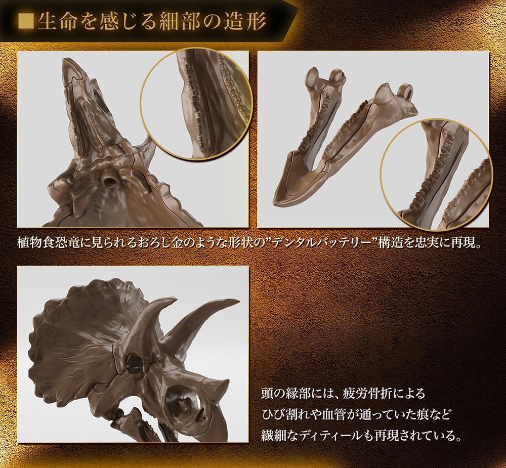 Bandai Imaginary Skeleton Triceratops (5061801) | Shopee Malaysia