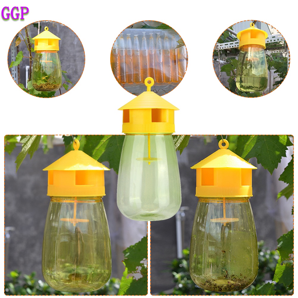 【FZ】 Wasp Trap Fruit Fly Flies Insect Bug Hanging Honey-Trap Catcher ...