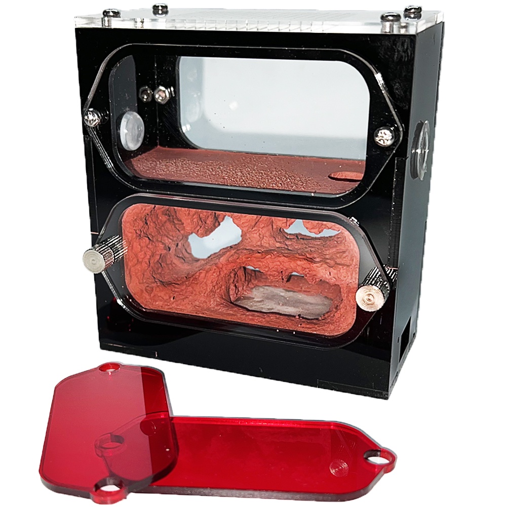 Acrylic Ant Farm Concrete Ant Nest Ant Queen Breeding Insect House With ...