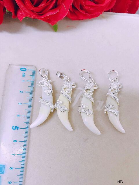 Silver Fangs Covered With Dragon Touch | Shopee Malaysia