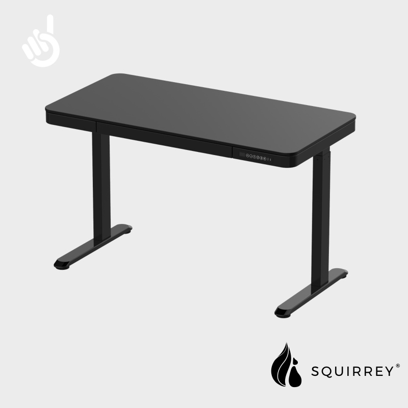 Squirrey Electric Height Adjustable Desk - Executive Edition [Wood Top ...