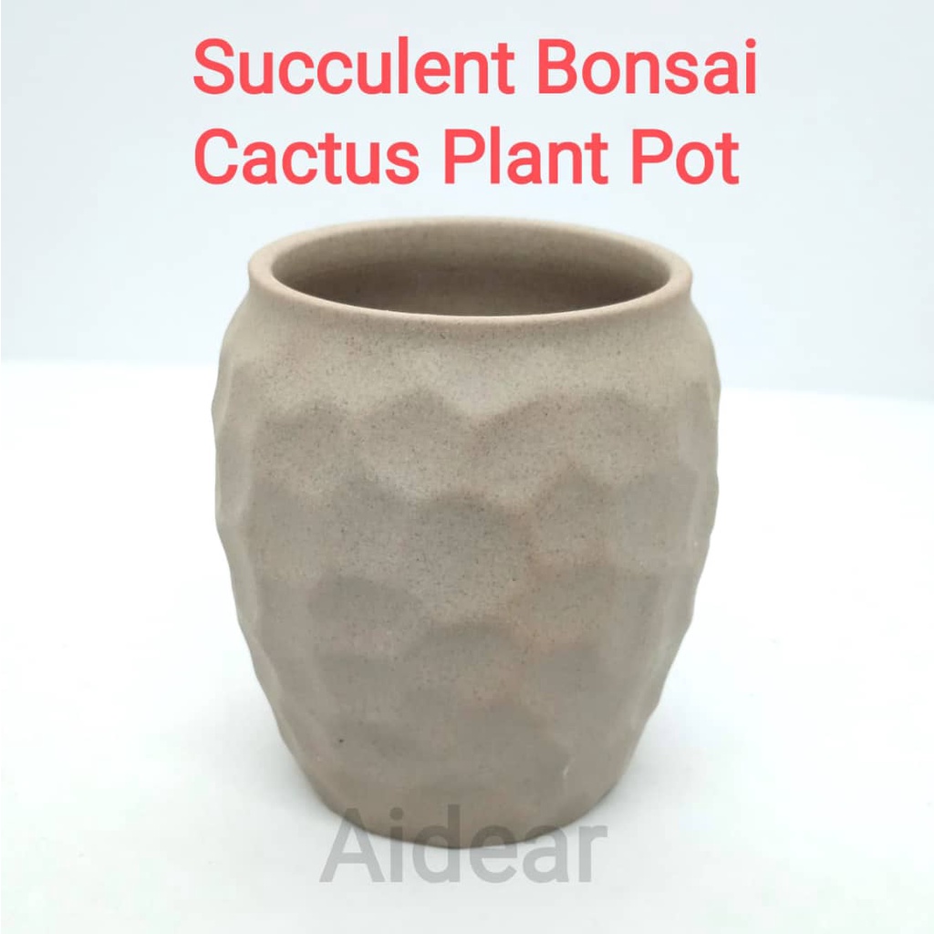 Succulent Cactus Bongsai Bonsai Plant Small Pot Pasu Kecil ...