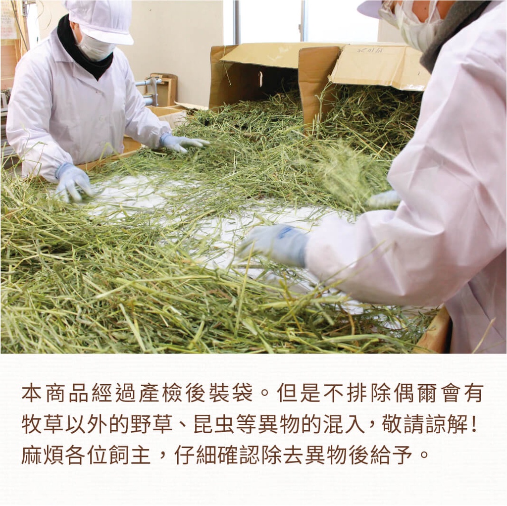 Wei He Ma-Japan WOOLY USA Washington Early Picked Timothy One Cut ...