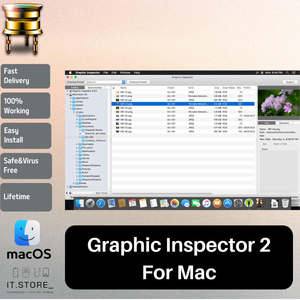 Graphic Inspector 2 Lifetime for Intel and M1 Chip Apple Silicone MacOs ...