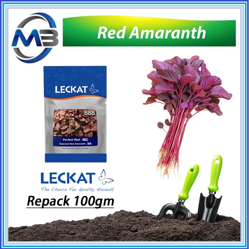 Leckat Leafy Vegetable Seed 888 Sinar Merah Selected Red Amaranth 500g ...