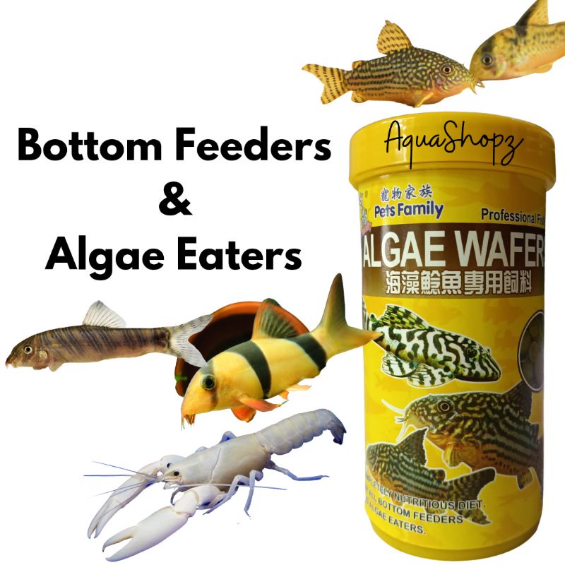 Pets Family Algae Wafer Bottom Feeders Fish Food 95g | Shopee Malaysia