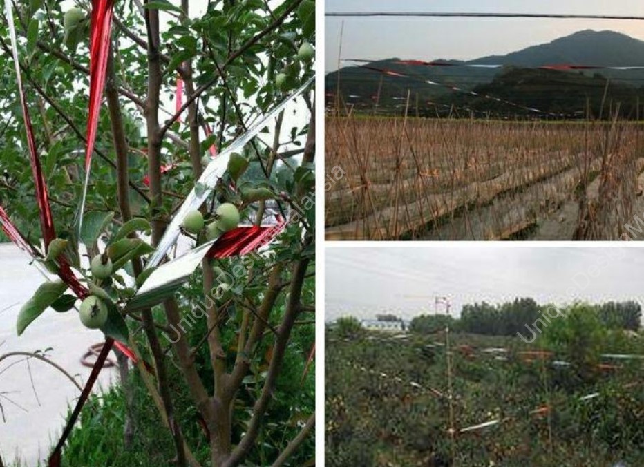 80M Flash Reflective Bird Scare Tape Repeller Ribbon Tapes Repel ...