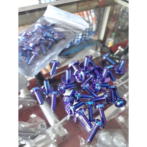 Ninja body Bolts rr old titanium set Of 28 pcs | Shopee Malaysia