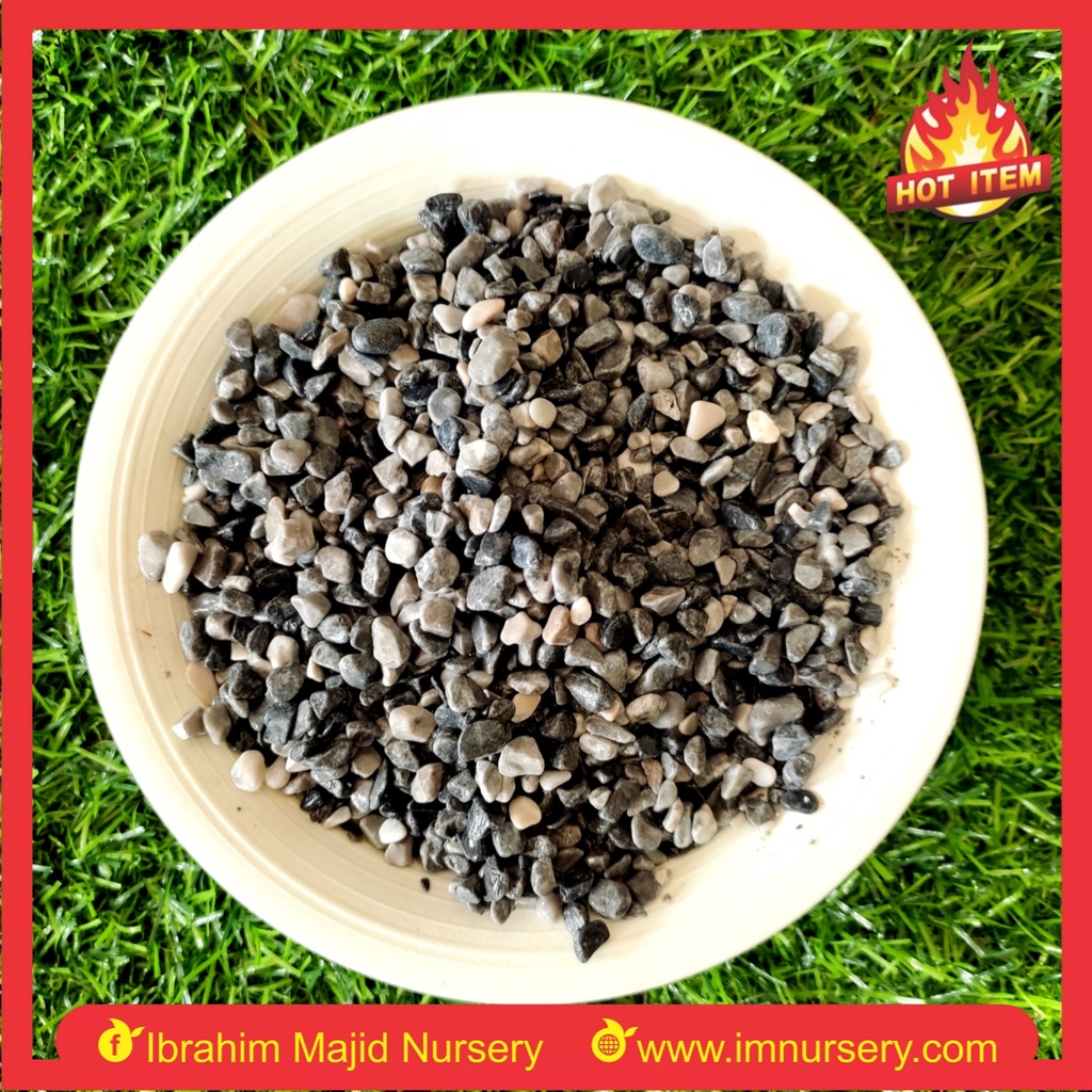 (1Kg) 5mm D GREY Pebble Wash Stone Garden Stone Landscape Aquarium ...