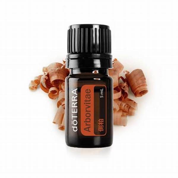 doTERRA Essential Oil Arborvitae Oil 5ml Ready Stock Original | Shopee ...