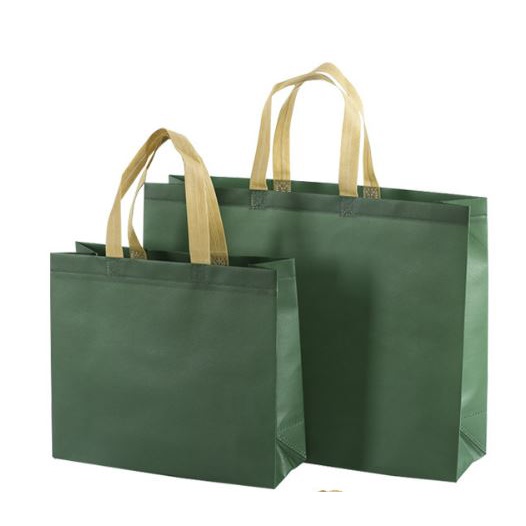 (WB2) Non Woven Bag With Colour Tote Goody Shopping Bag Beg Premium ...