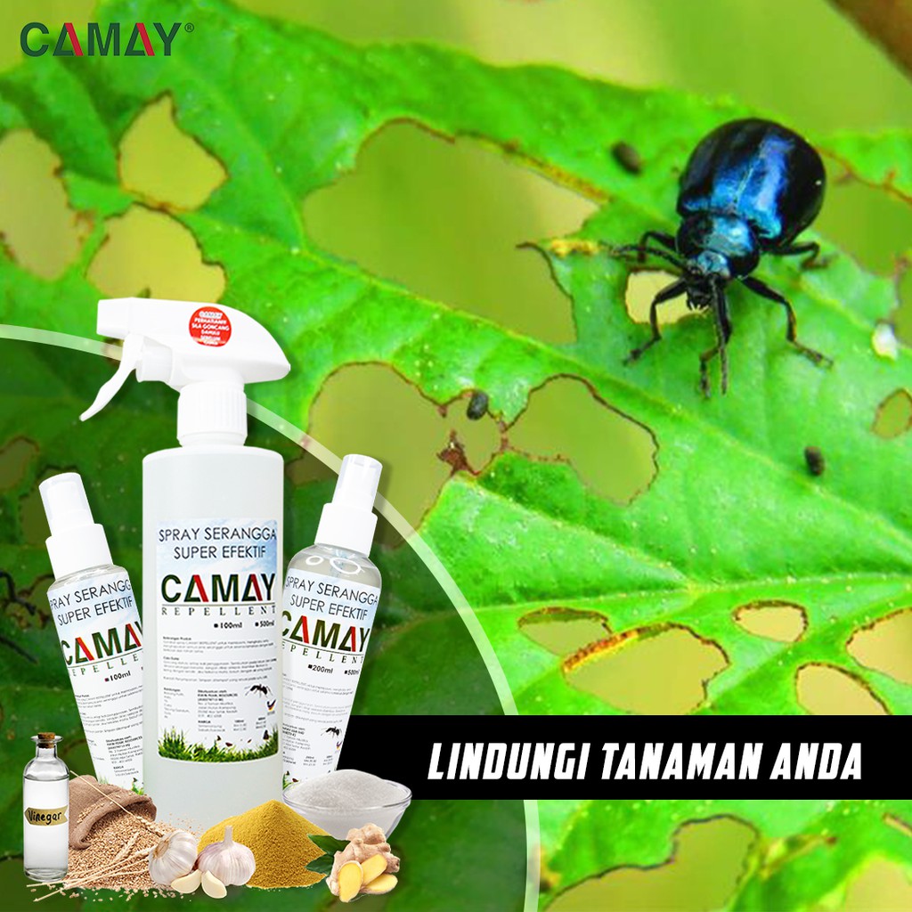 UBAT SERANGGA CAMAY POKOK ORGANIK BENA, KOYA, SIPUT, SEMUT, SPIDERMITES ...