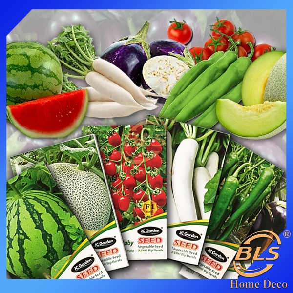 JC GARDEN VEGETABLE SERIES K67 - K96 VEGETABLE SEED GARDENING PLANTING ...