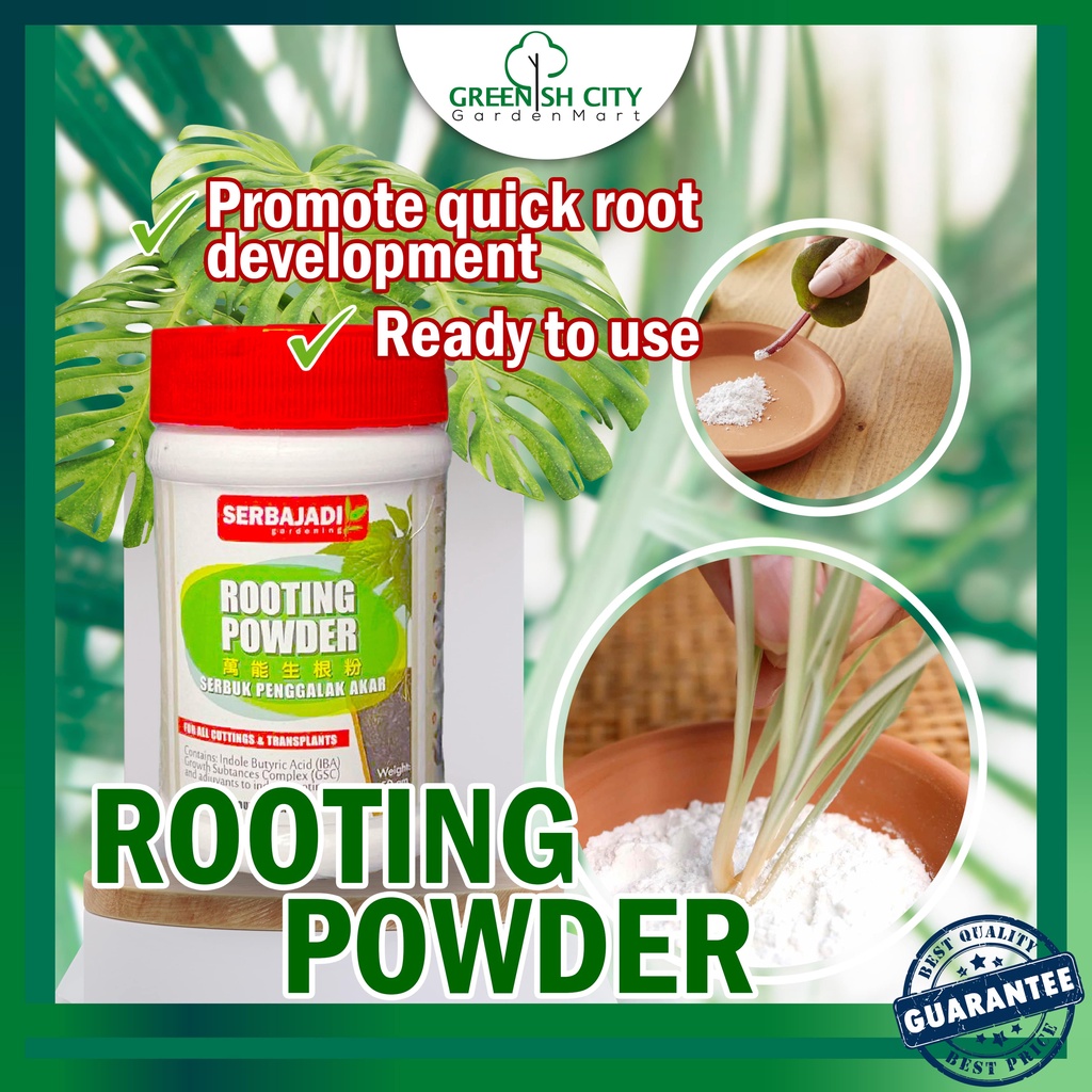 Plant Root Rooting Hormone Powder Hormon Pertumbuhan Akar 万能生根粉 ...