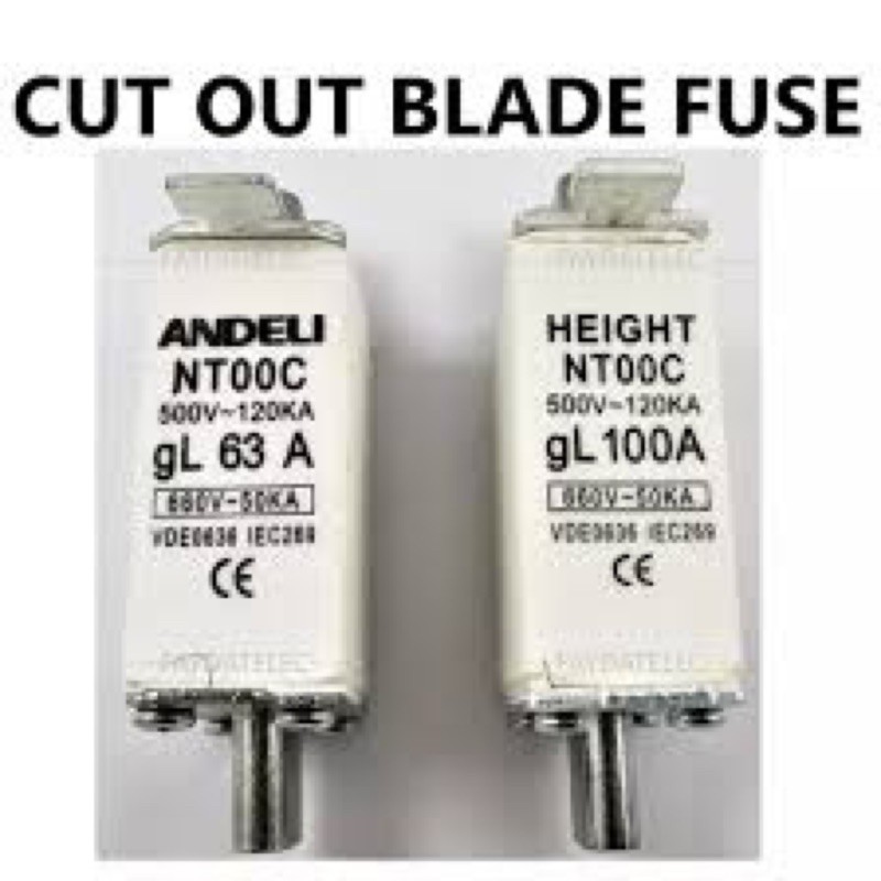 63A / 100A BLADE FUSE ONLY (FOR TNB USE) | Shopee Malaysia