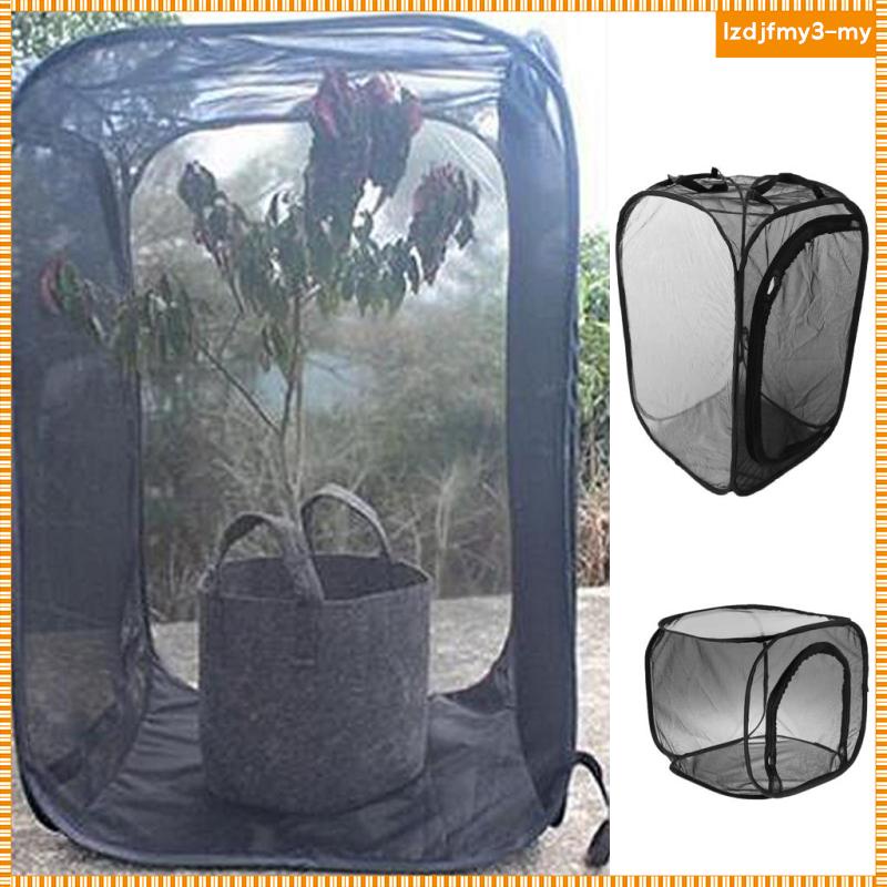 Butterfly Habitat Cage Net Mesh Terrarium Pet Cage Foldable | Shopee ...