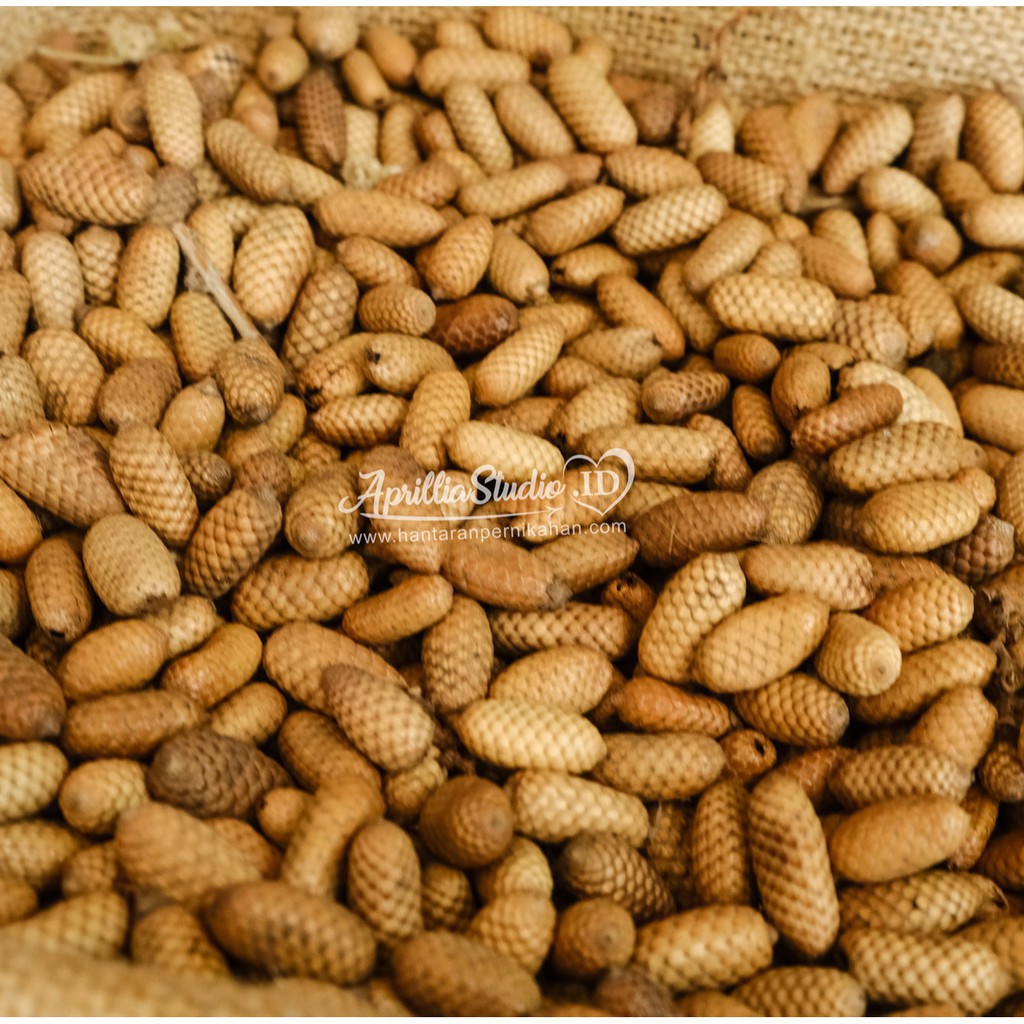 Rustic LONJONG RATTAN SEEDS / 10pcs | Shopee Malaysia