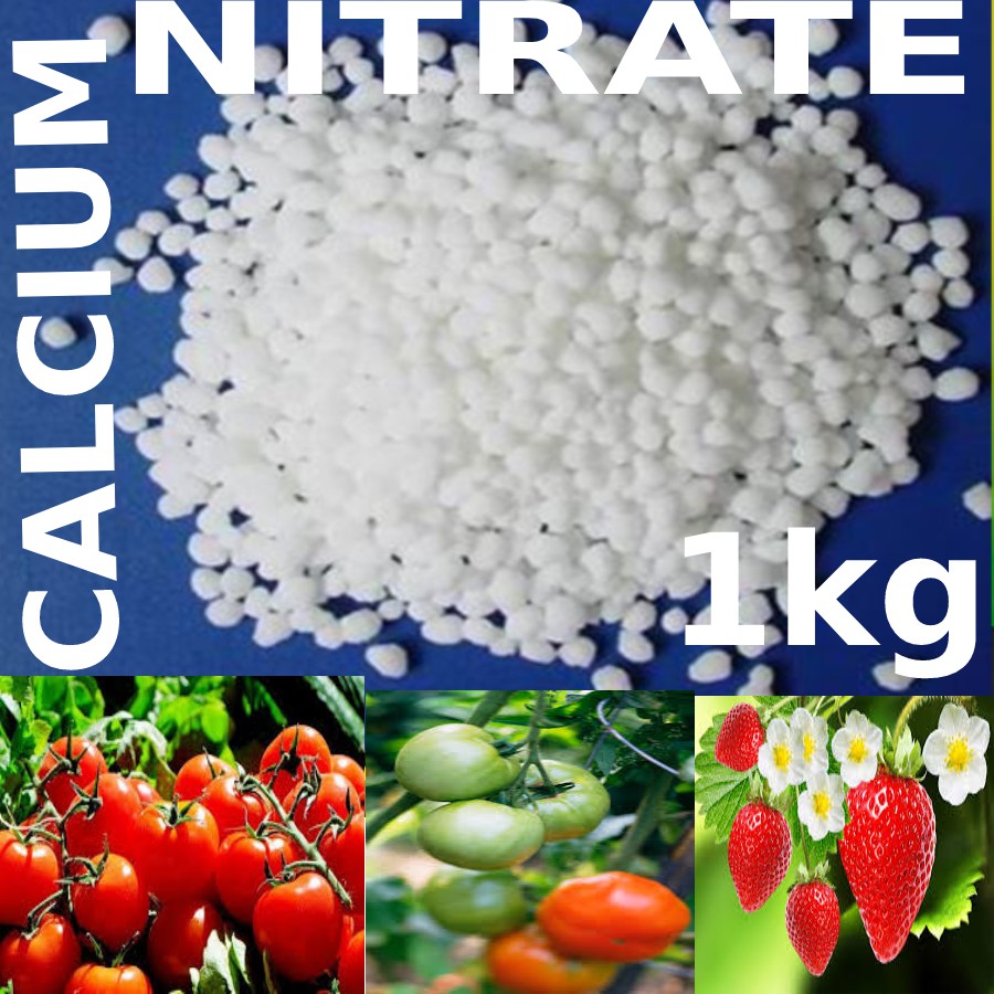 Calcium Nitrate Fertilizer/500g/1Kg/ Plant Nutrient/ Norwegian ...