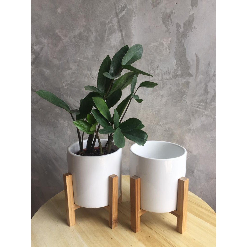TA Pot 03 Ceramic Pot (White) With Stand | Shopee Malaysia