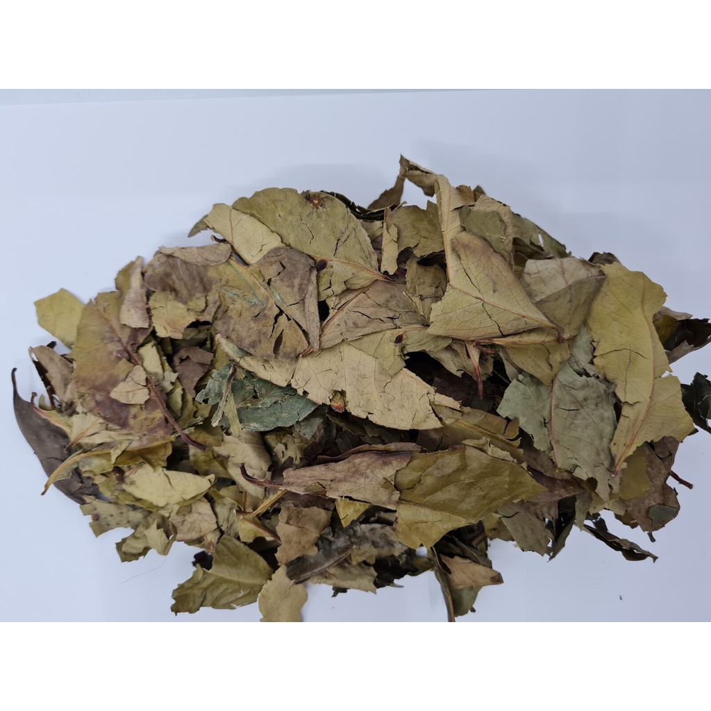 Dried Bay Leaves Daun Salam Kering 20 gr | Shopee Malaysia