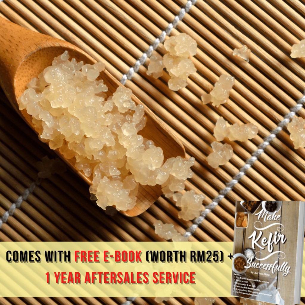 HEALTHY Active Water Kefir Grains (Tibicos) | Shopee Malaysia