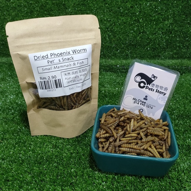 CC Pets Story|Dried Baked Worm, phoenix worm, mealworm. For fish, bluebird, wild birds, chicken ...