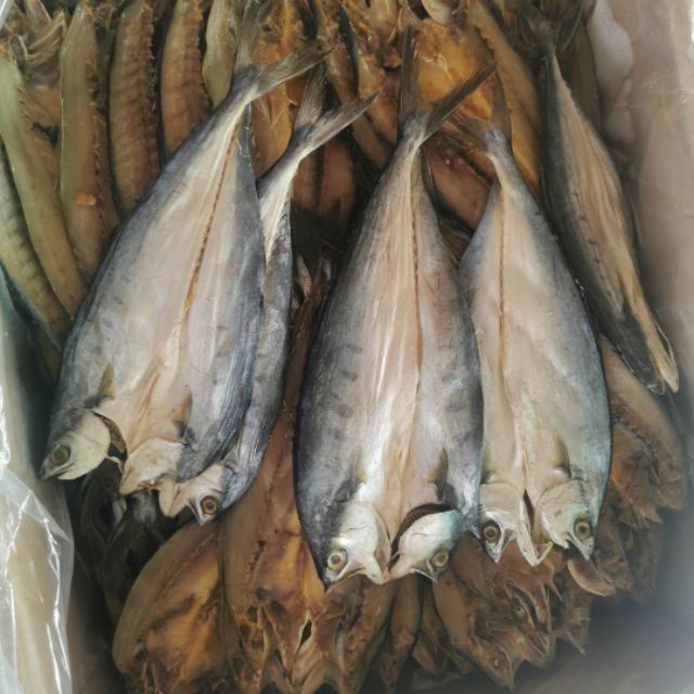 MSV IKAN TALANG PADI MASIN / IKAN TALANG PADI / IKAN KERING / IKAN ...