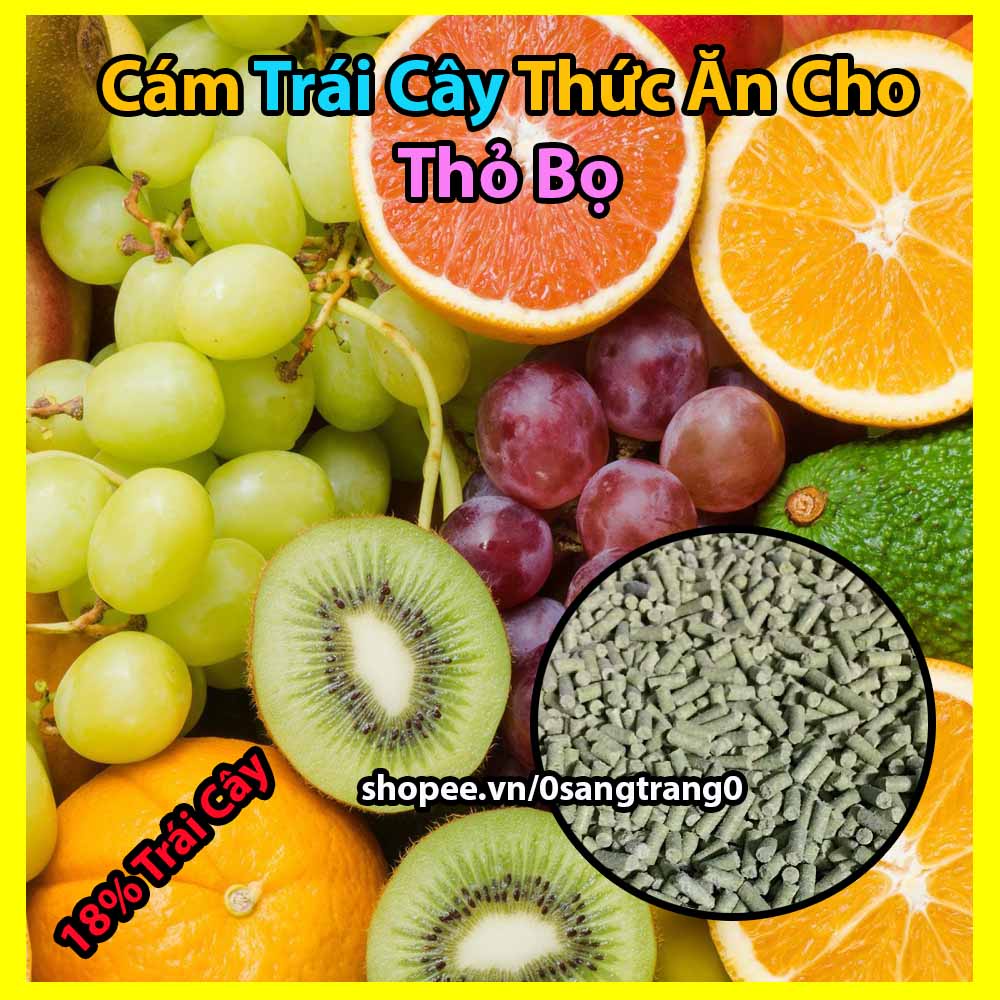 1kg Fruit Bran Food for Guinea Pigs and Guinea Pigs (Apple, Banana ...