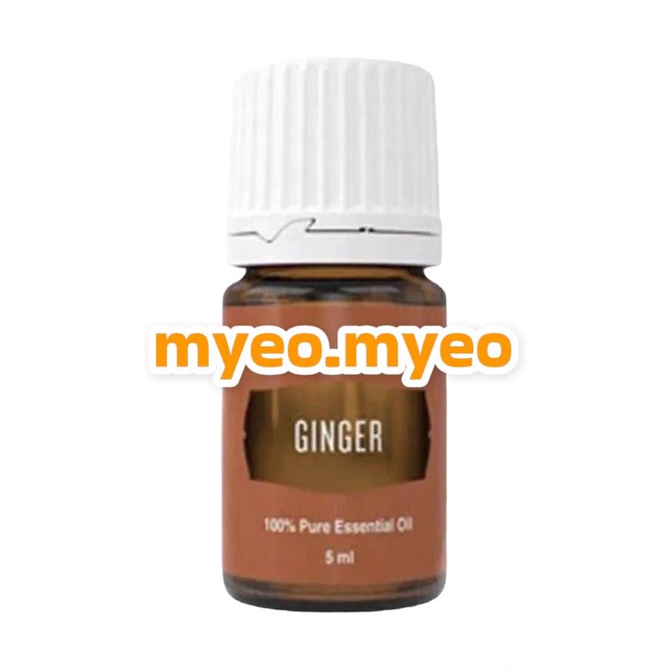 Young Living Ginger Essential Oil 5ml | Shopee Malaysia