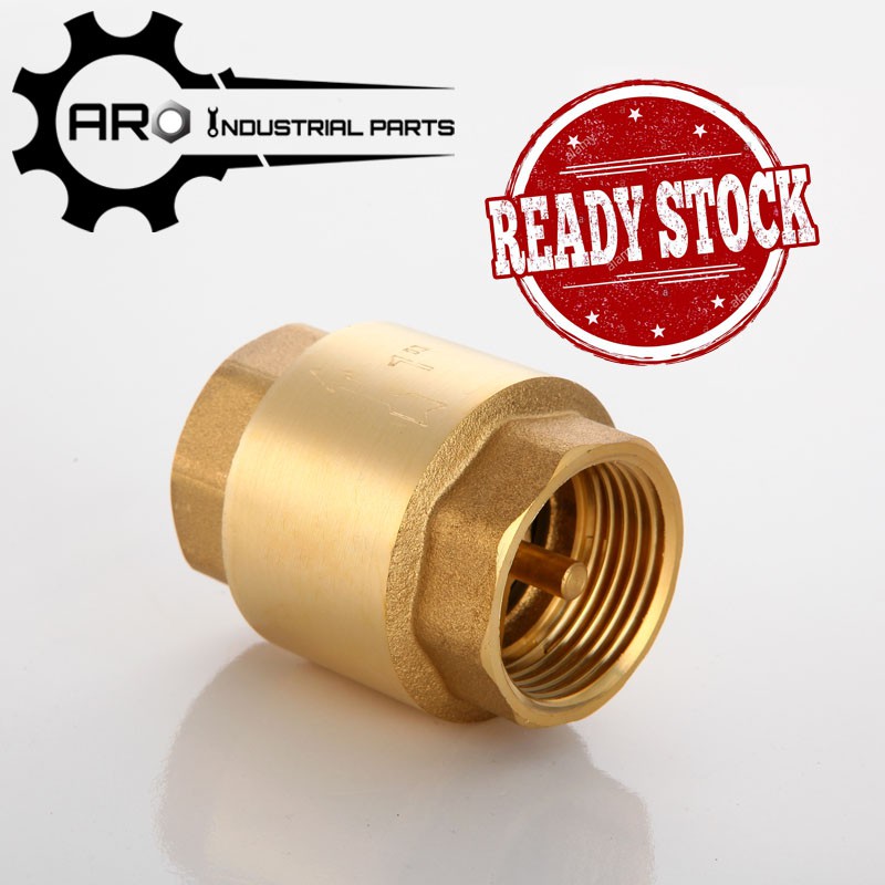 Brass Spring Non-Return Vertical Check Valve 4 Points [1/2"] [Heavy ...