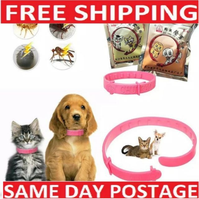 KOLAR KUCING untuk cegah KUTU, HAMA, SEMUT, NYAMUK & LALAT | Shopee ...