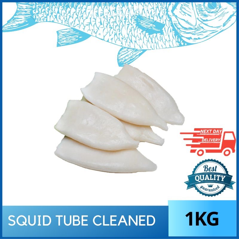 Sotong Tube / Squid Tube Cleaned - 1KG Pack | Shopee Malaysia