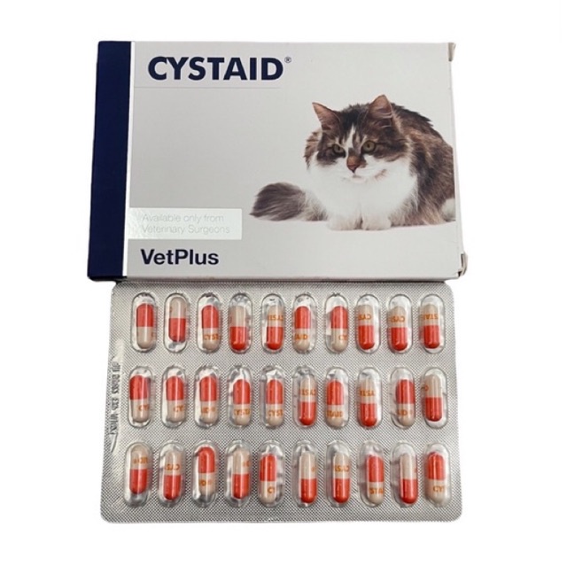 Cystaid PLUS FUS medicine for urination blocked urination Urinary in ...