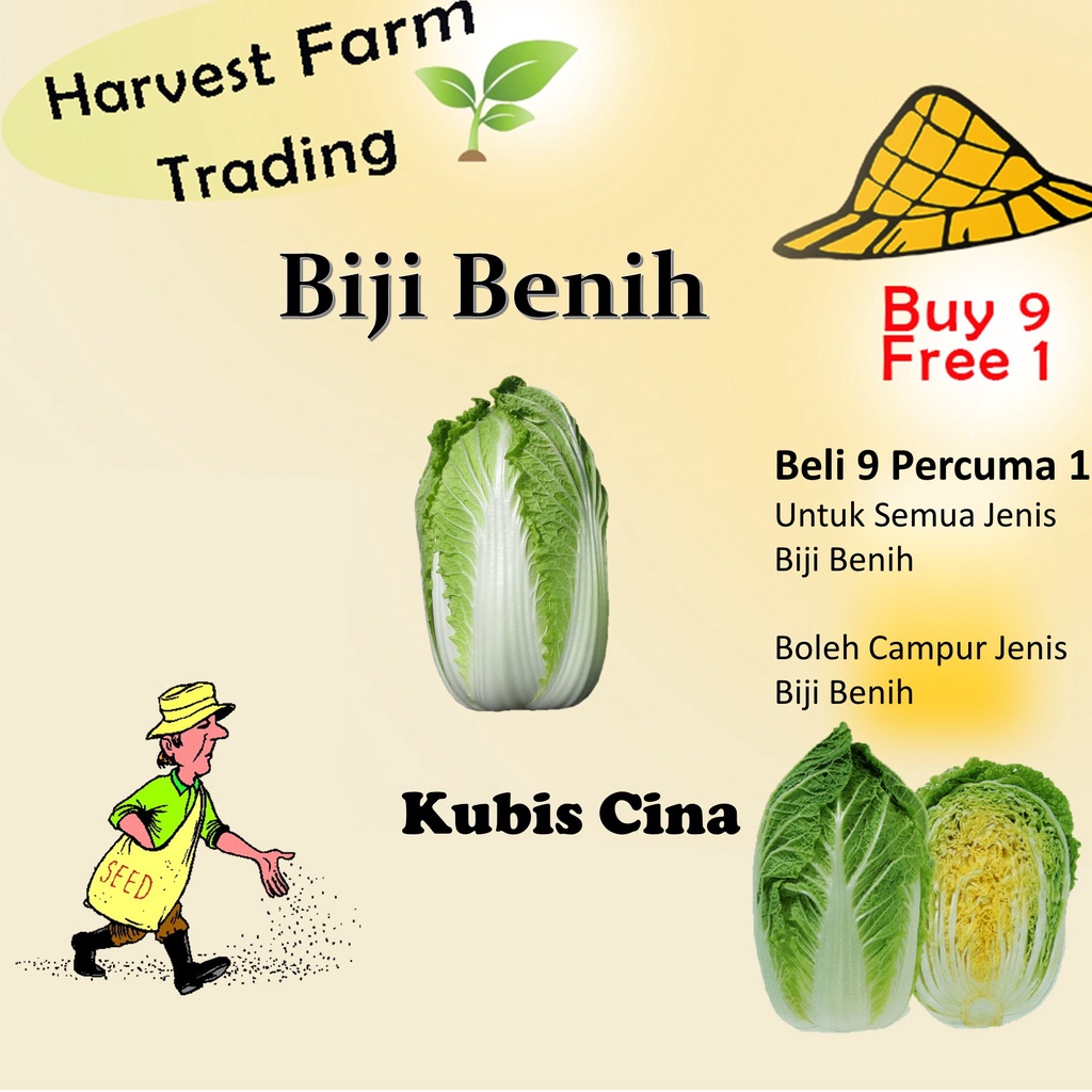 300Pcs seed kubis cina plant seed vegetable seed biji benih kubis cina ...