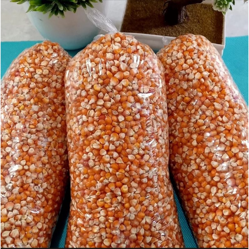 1 kg Of Dried Kristal Corn/madura Corn/dara Bird Feed Corn | Shopee Malaysia